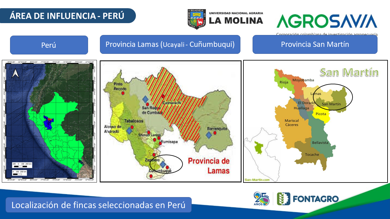 Sistemas Silvopastoriles Multipropósito, una estrategia sostenible para ...