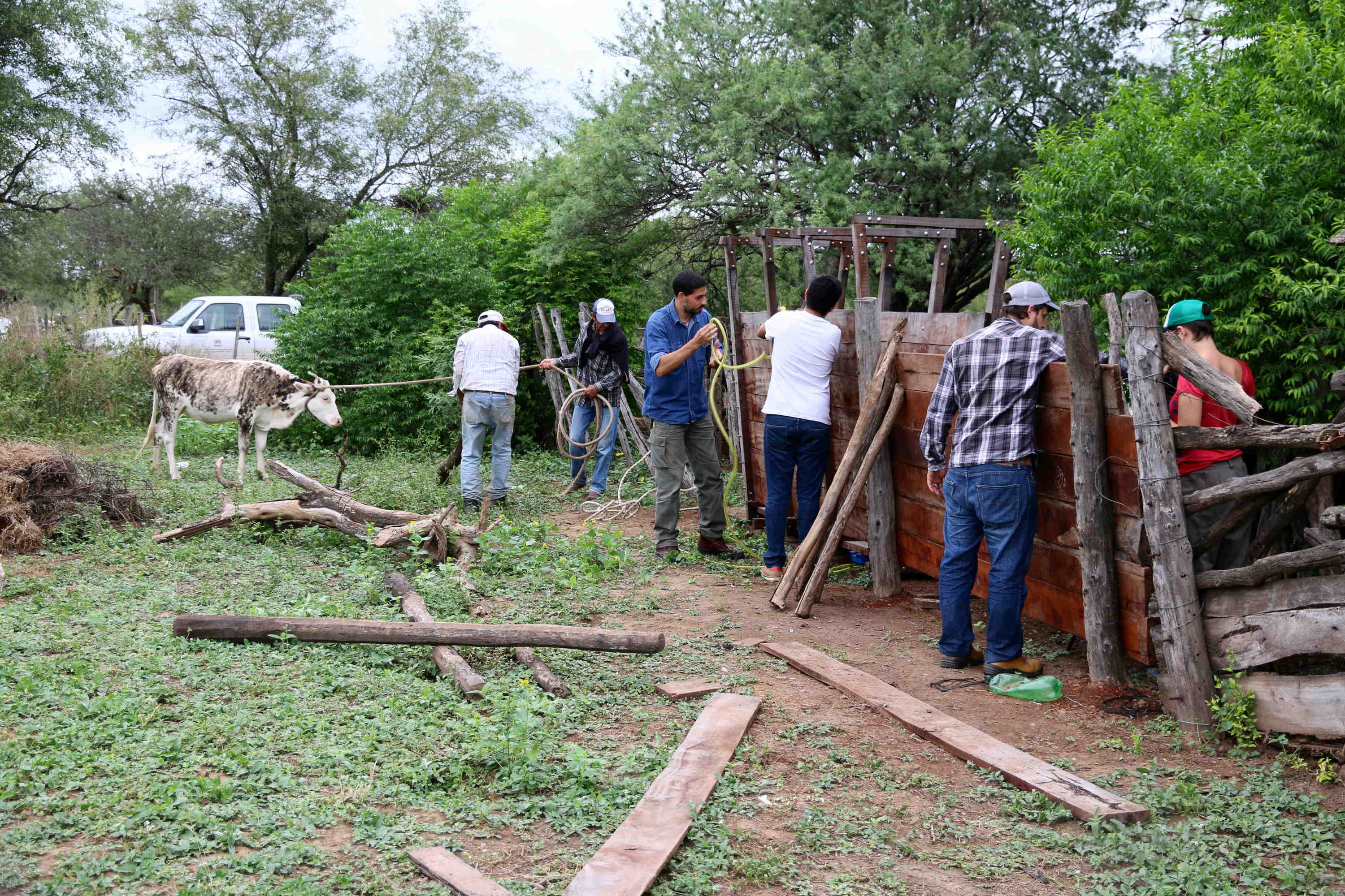 Las instalaciones de manejo, una herramienta que permite alcanzar el ...