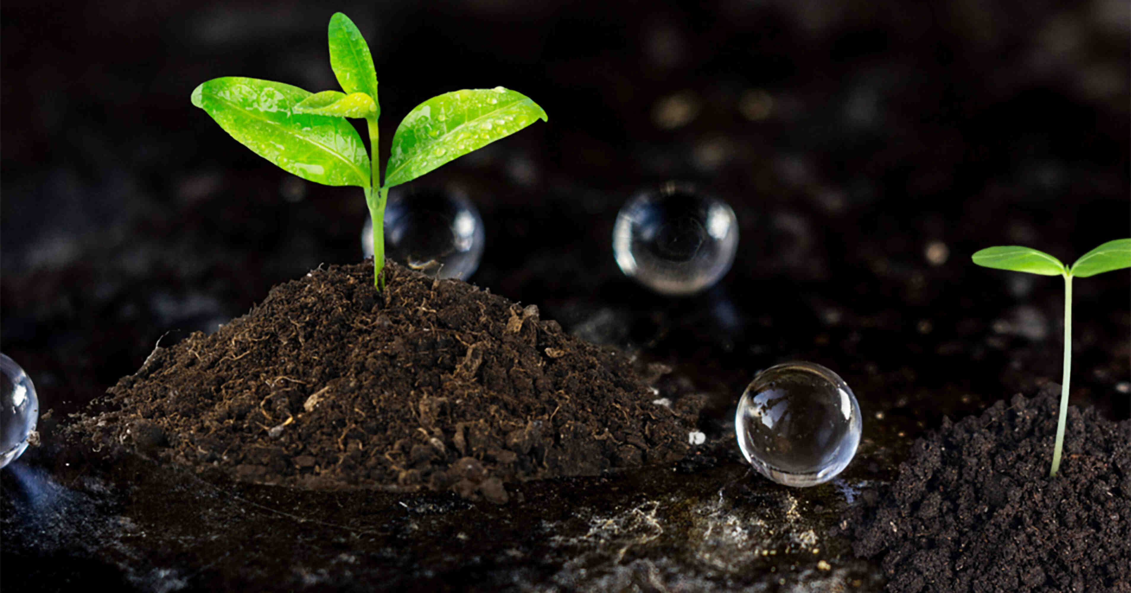 Nanotecnología en la gestión de humedad de suelos agrícolas de la ...