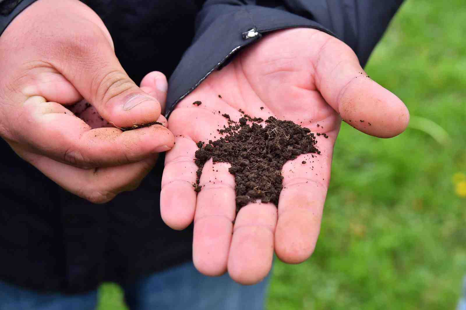 Carbon sequestration opportunities in soils in Latin America and the ...