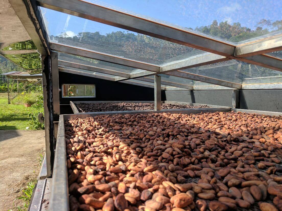 Superior cocoa quality based on community processing